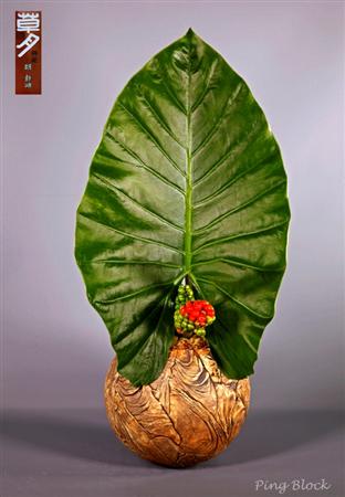 Ikebana with Ping - Gallery