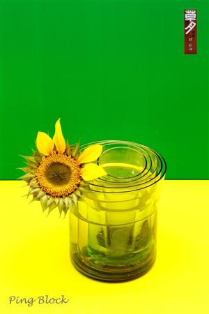 Ikebana with Ping - Gallery